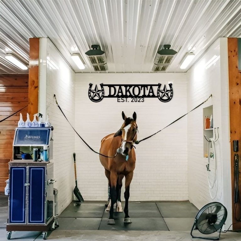DINOZOZO Horse Stall Horse Name Plate Custom Metal Signs - Custom Laser ...